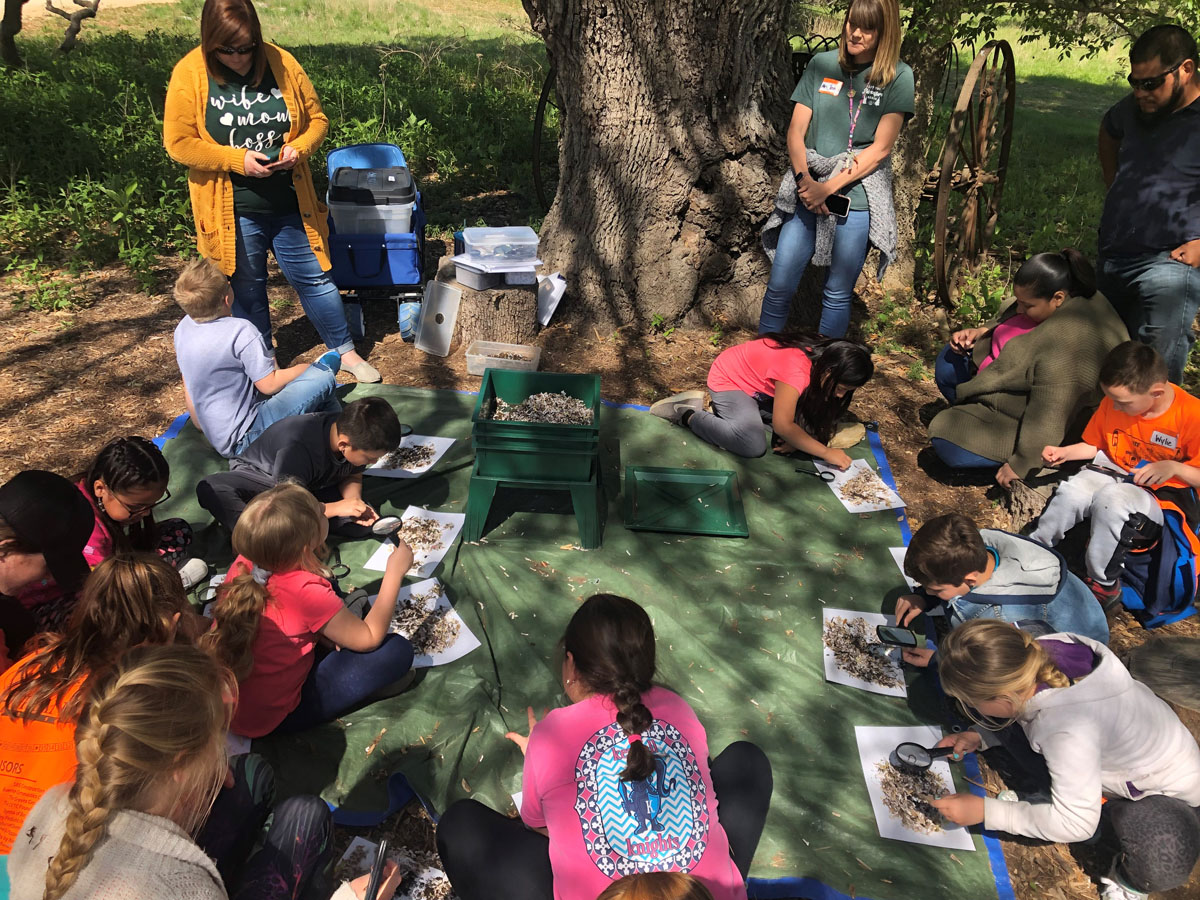 Outdoor Classroom – Field Trips - The Cibolo Center for Conservation