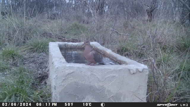 Behind The Scenes at The Cibolo - The Cibolo Center for Conservation