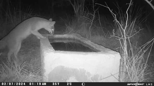 Behind The Scenes at The Cibolo - The Cibolo Center for Conservation