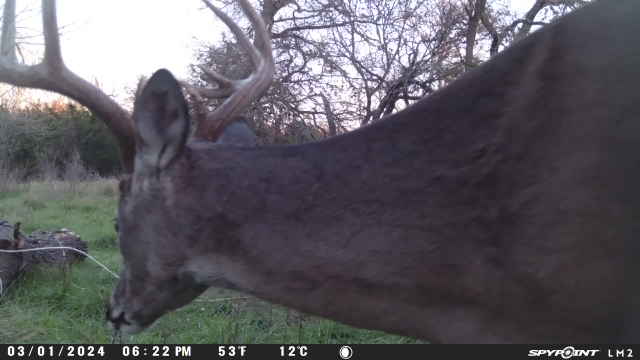 Behind The Scenes at The Cibolo - The Cibolo Center for Conservation