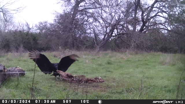 Behind The Scenes at The Cibolo - The Cibolo Center for Conservation