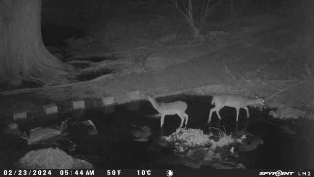 Behind The Scenes at The Cibolo - The Cibolo Center for Conservation