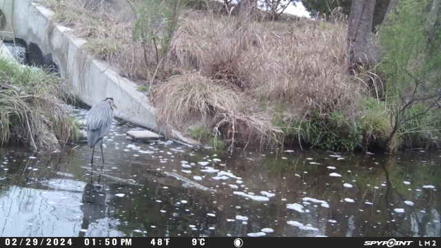 Behind The Scenes at The Cibolo - The Cibolo Center for Conservation