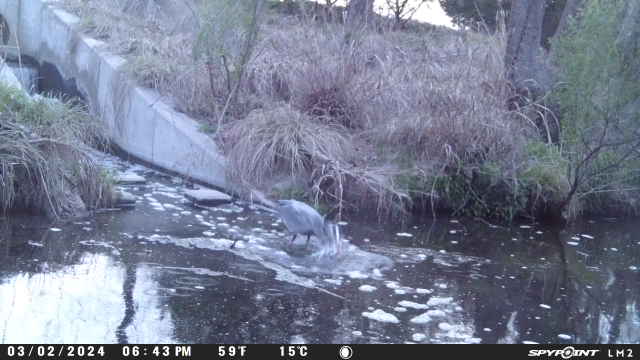 Behind The Scenes at The Cibolo - The Cibolo Center for Conservation