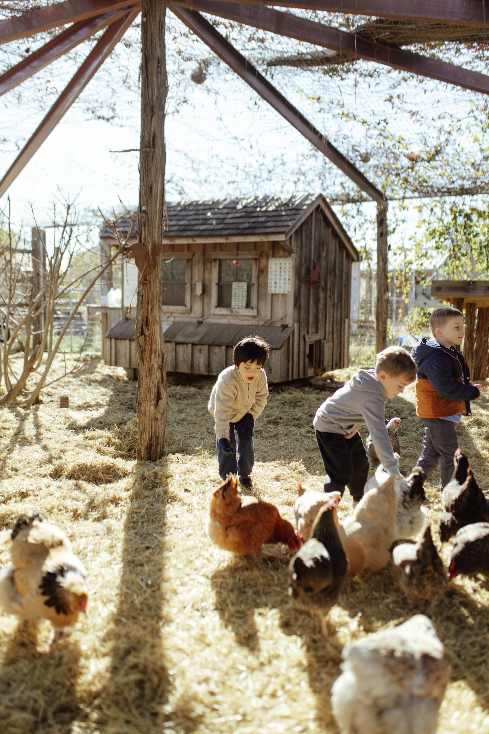 Donate to The Cibolo - The Cibolo Center for Conservation